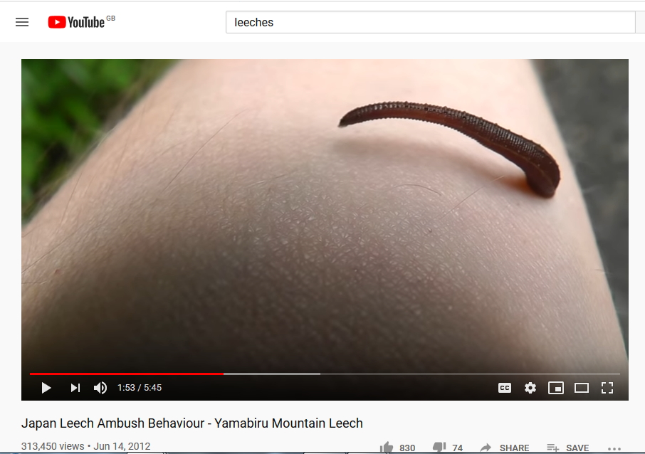 Pret A Manger in a Nutshell: Leeches, Predators – Bullied during ...